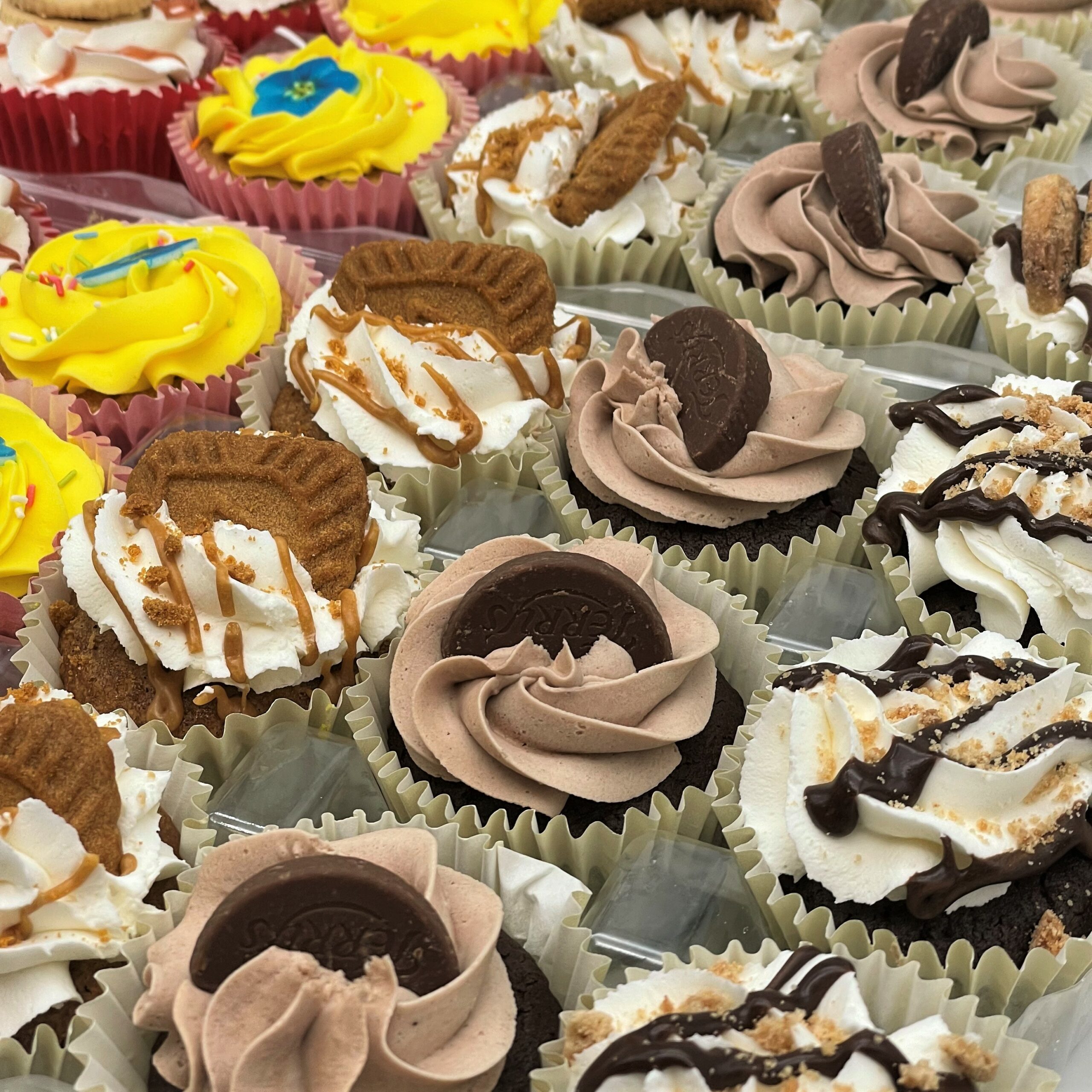 15pk Bespoke Funky Cupcakes with Branded wrap